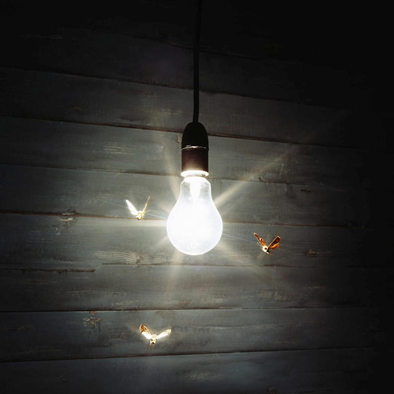 Moth Mystery Solved: Why Are Moths Attracted to Light?