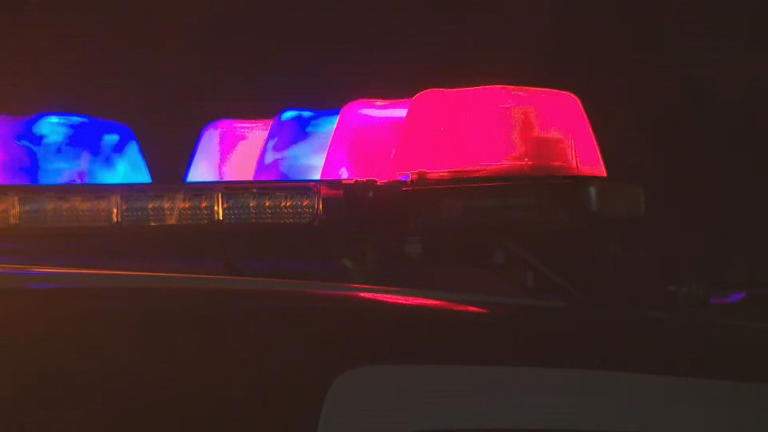 Las Vegas police make 21 arrests in weekend DUI blitz