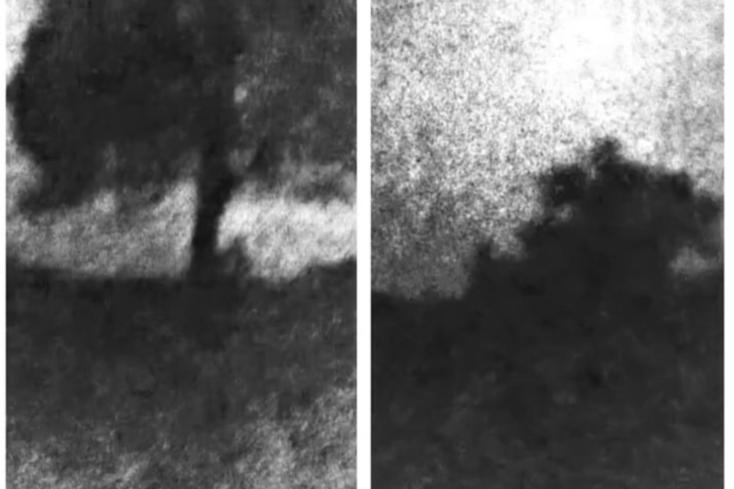 Sycamore Gap Tree trial: Watch video footage of the beloved tree being ...