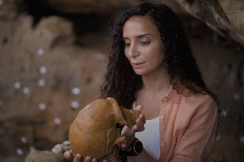 BBC will showcase 'mind-boggling' truth about humanity in huge TV first