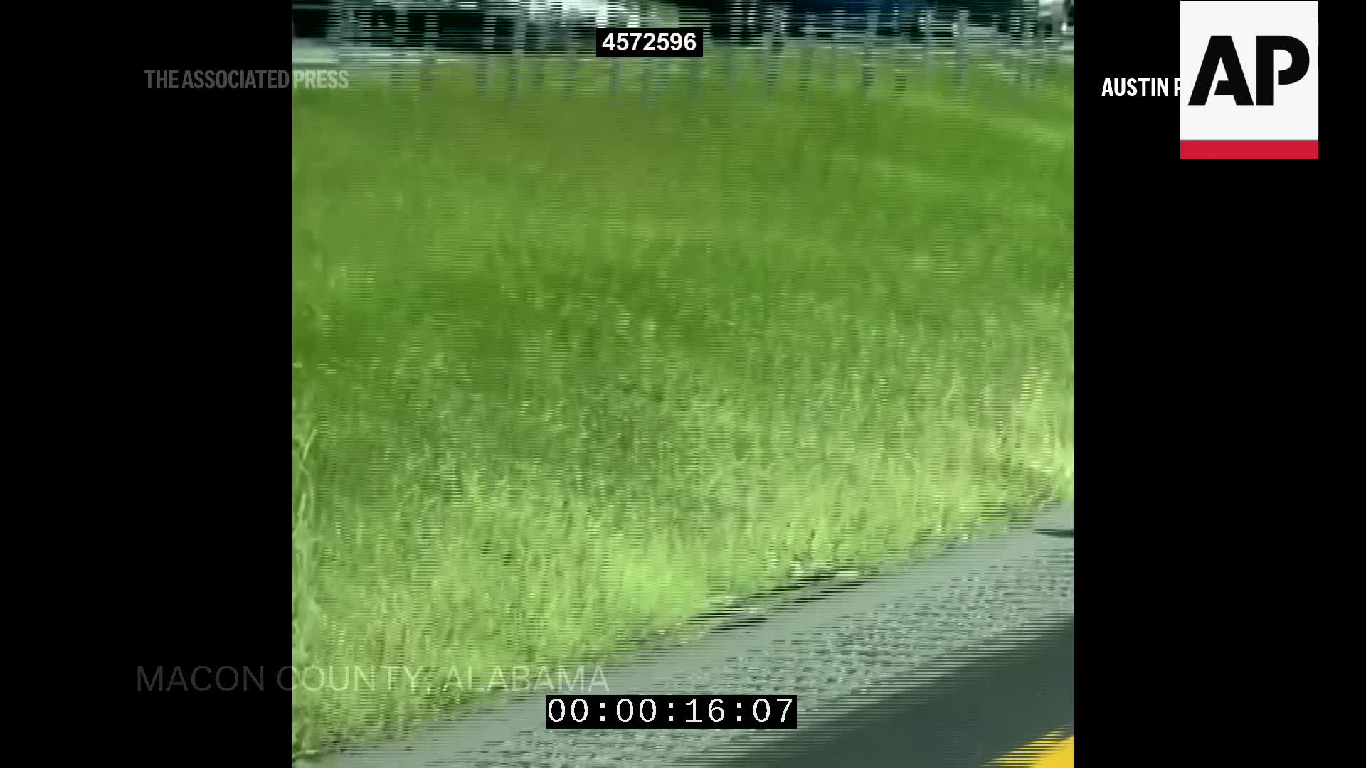 Runaway kangaroo seen hopping down highway (Video courtesy Austin Price ...
