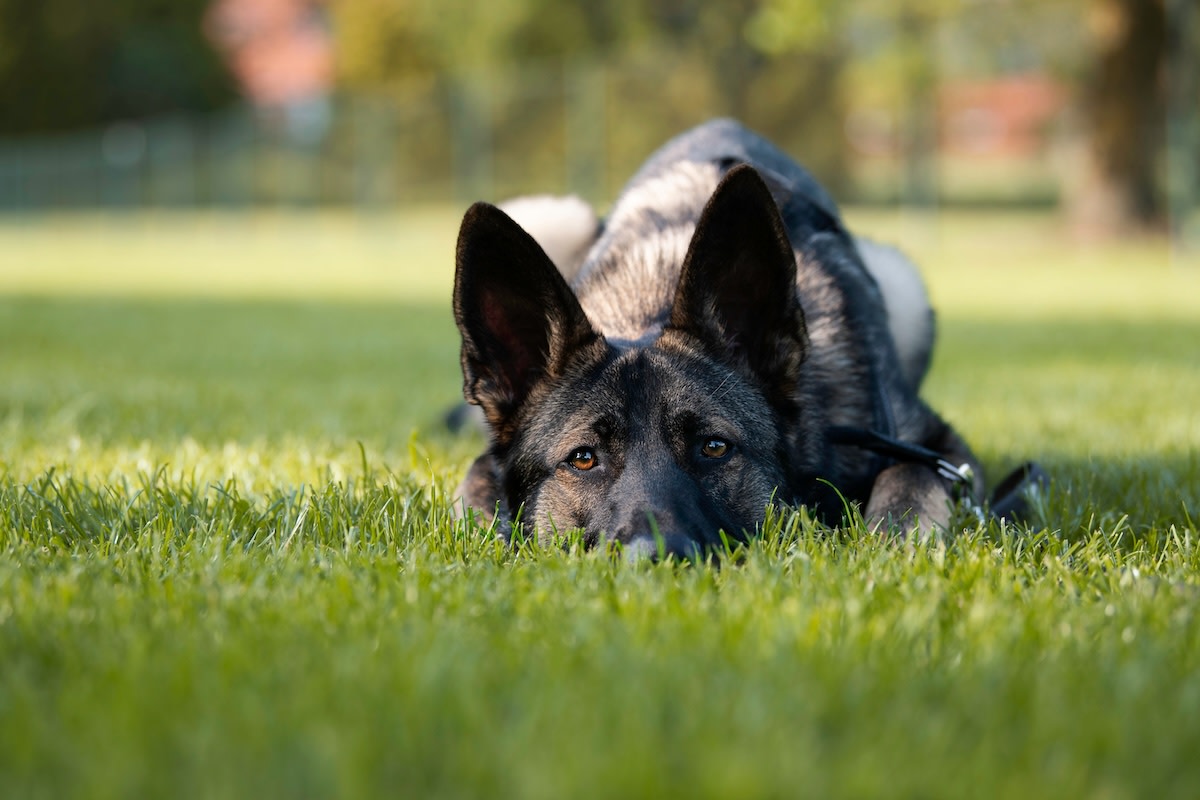 Sable Shepherd Gives Mom 'Look What You've Done' Glare After Bringing ...