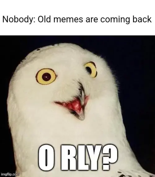 40 Funny Owl Memes For Birds So Wise They Already Know Who