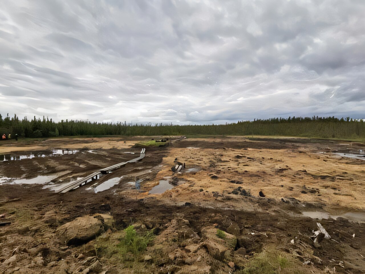 Restoring oil wells back to nature with moss