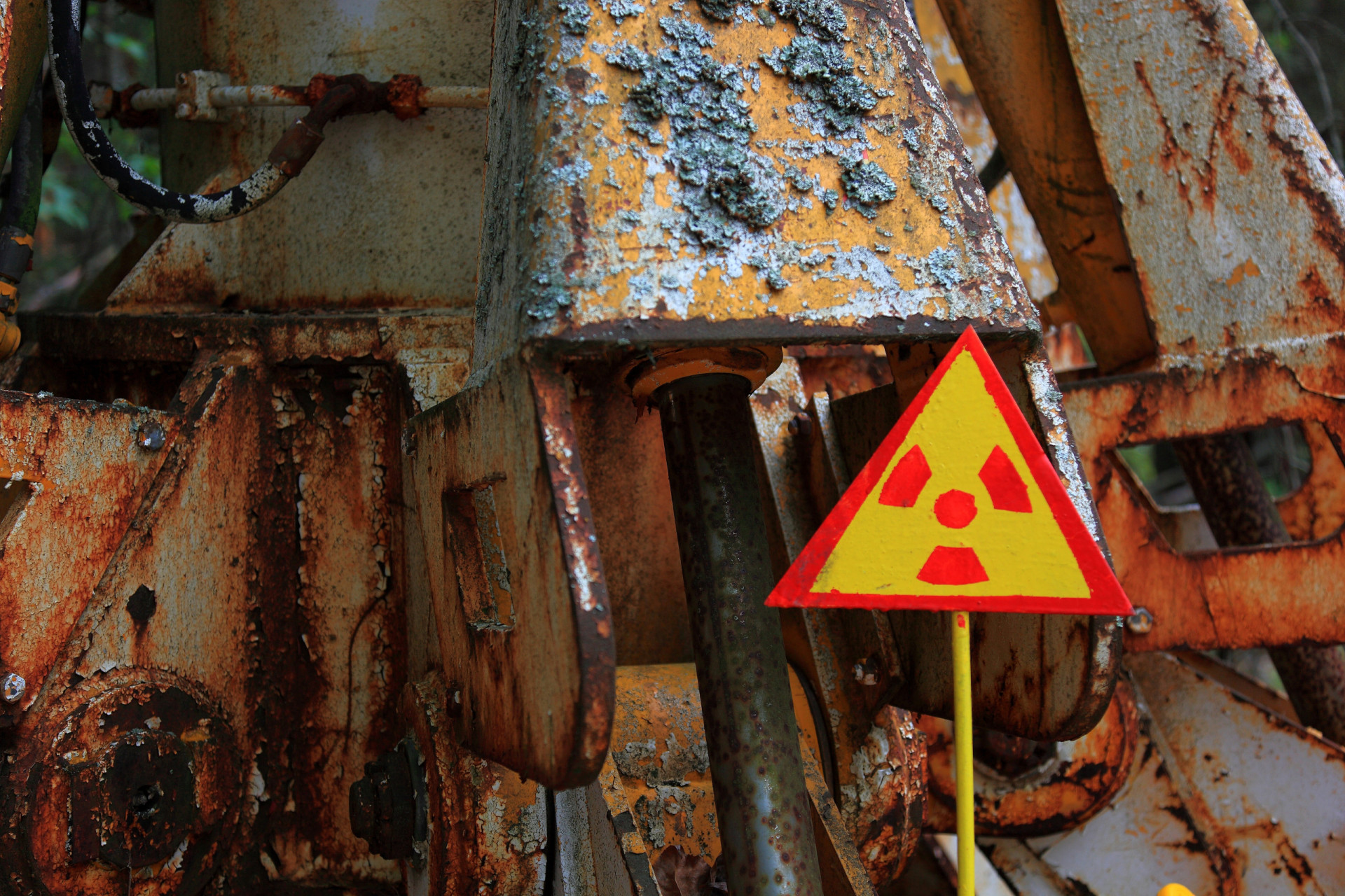 The worst ways to die, according to science