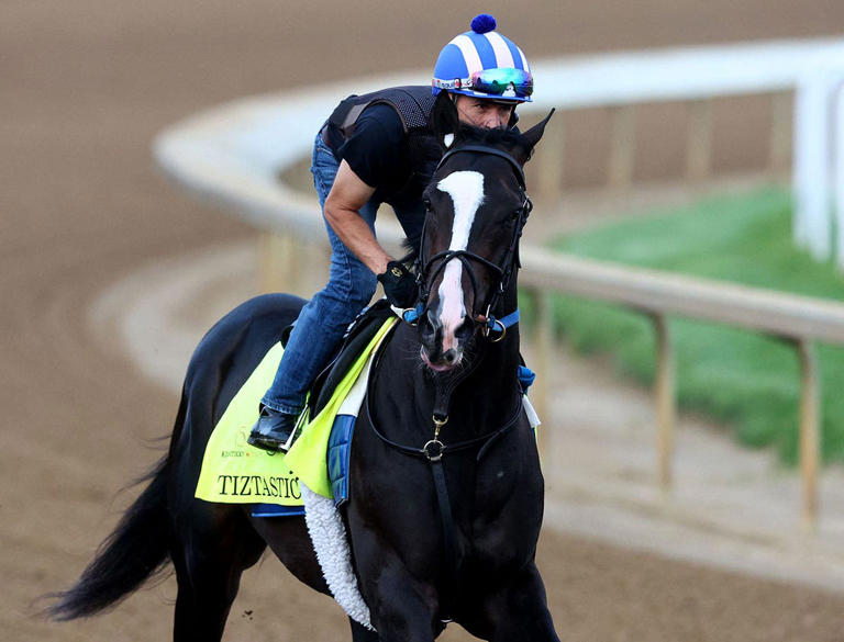 Kentucky Derby 2025: Meet Horses In The 151st Run For The Roses