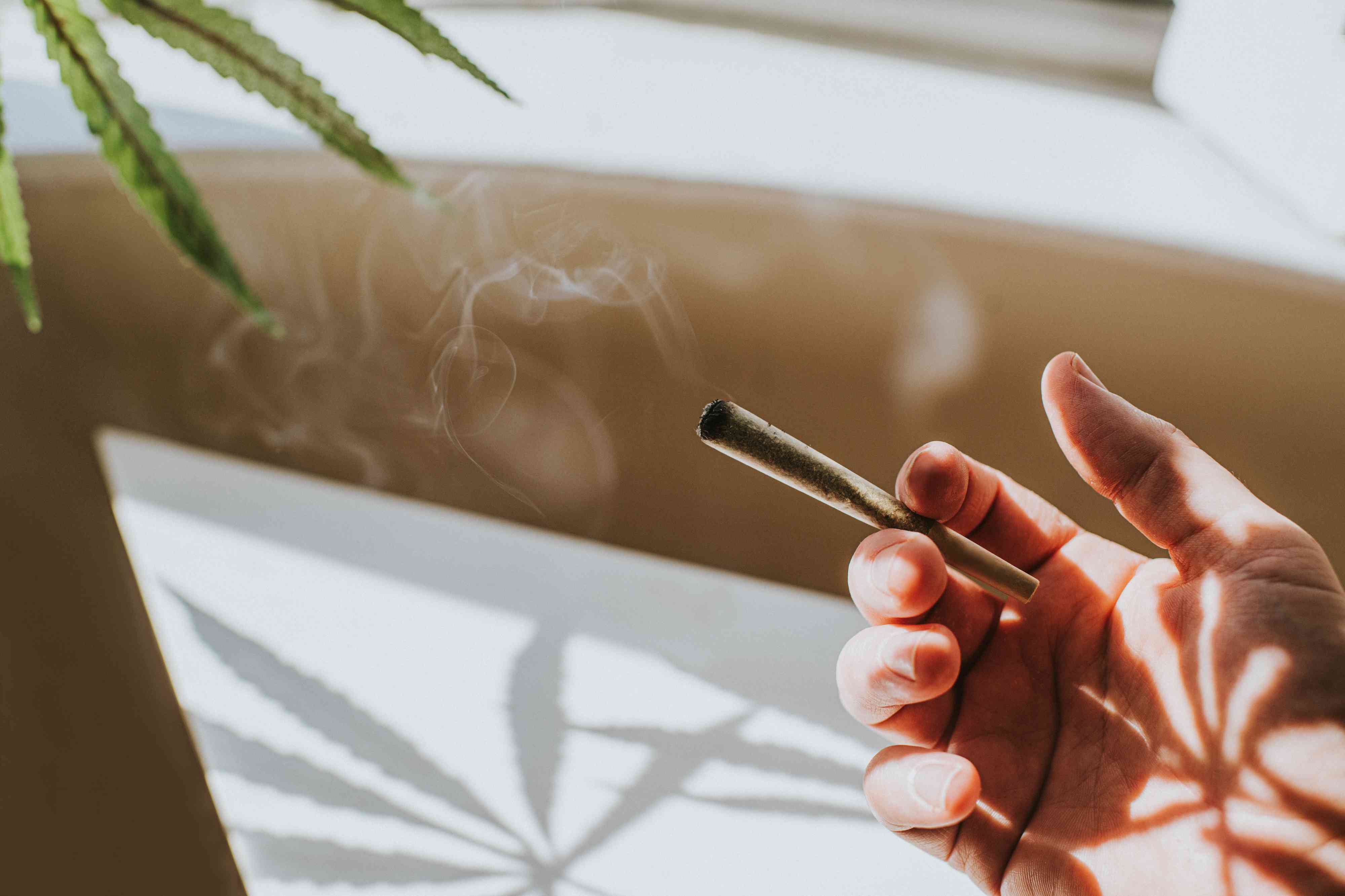 Marijuana Withdrawal Symptoms and How to Manage Them