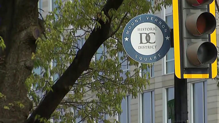 Kristi Noem links DC purse theft to immigration crackdown