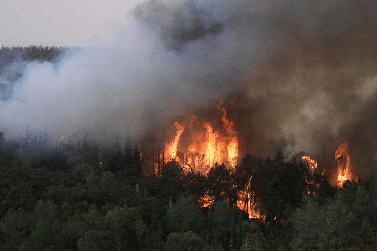 Israel wildfires latest: Firefighters winning 30-hour battle as ...