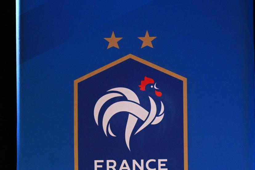 Philip Guyot de Caila, proche de Pierre Samsonoff, à la tête du conseil ...