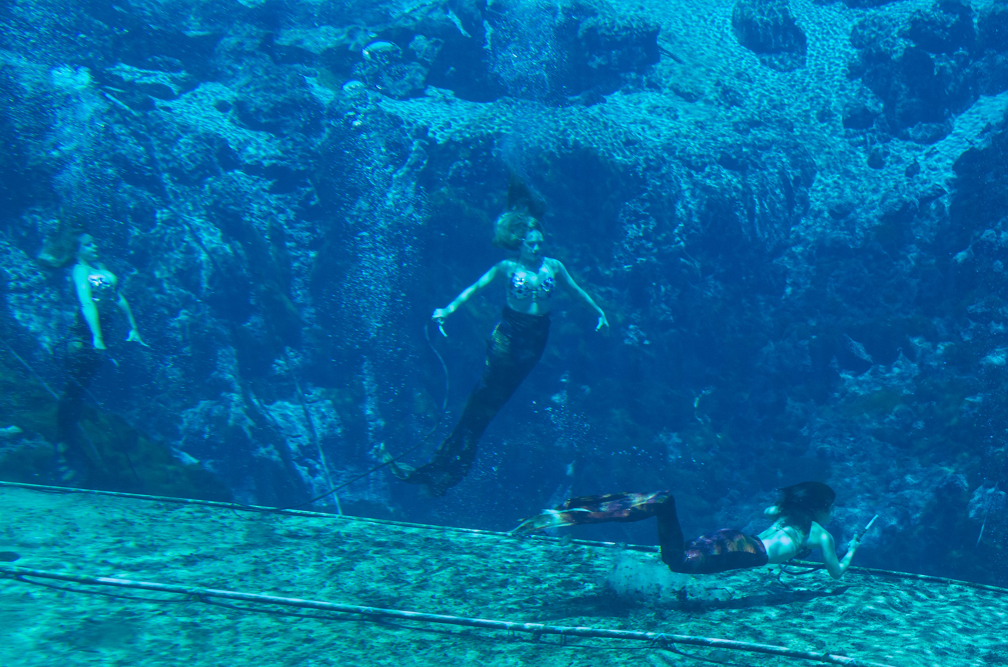 Beautiful Mermaids Have Dazzled Tourists at This Florida Spring Since 1947