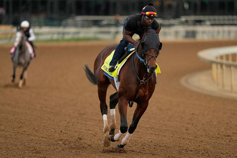 Kentucky Derby 2025: Meet Horses In The 151st Run For The Roses
