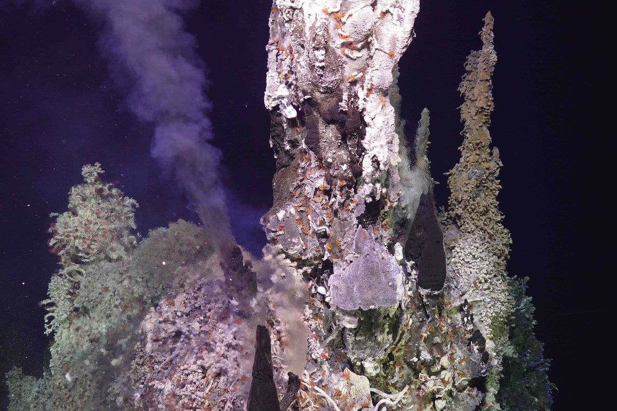 Scientists warn an underwater volcano off Oregon coast is about to explode