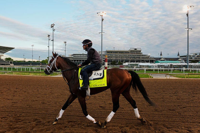 Kentucky Derby 2025: Meet Horses In The 151st Run For The Roses