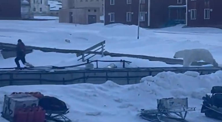Man escapes charging polar bear on snowmobile in arctic ghost town [VIDEO]