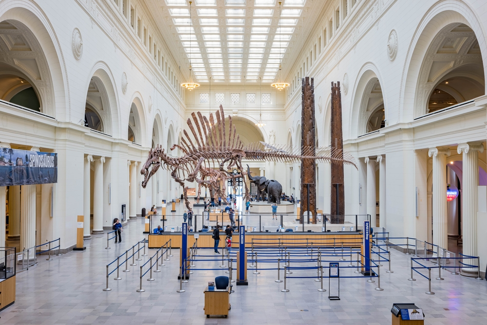 The World’s Largest T-Rex Skeleton Towers Over Visitors at This Chicago ...