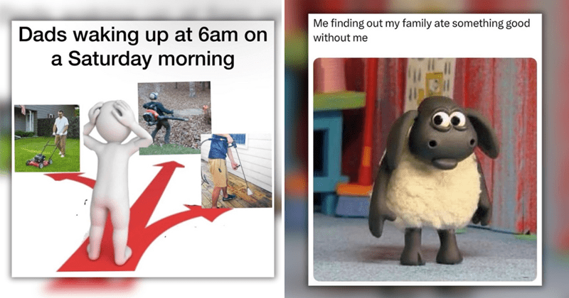 25 Hilarious Family Memes to Send in the Family Group Chat This Week