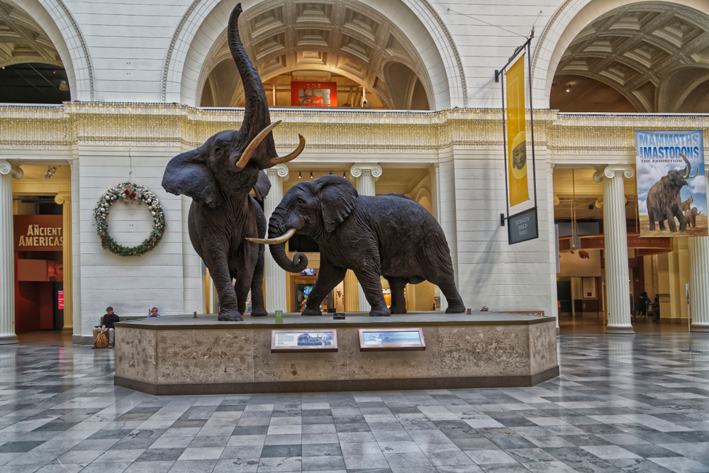 The World’s Largest T-Rex Skeleton Towers Over Visitors at This Chicago ...