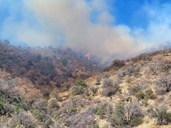 Forward progress stopped for Mason Fire near Old Bisbee