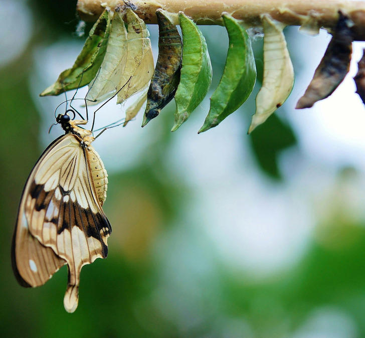 People Reveal 16 Scientific Facts That Completely Break Common Sense