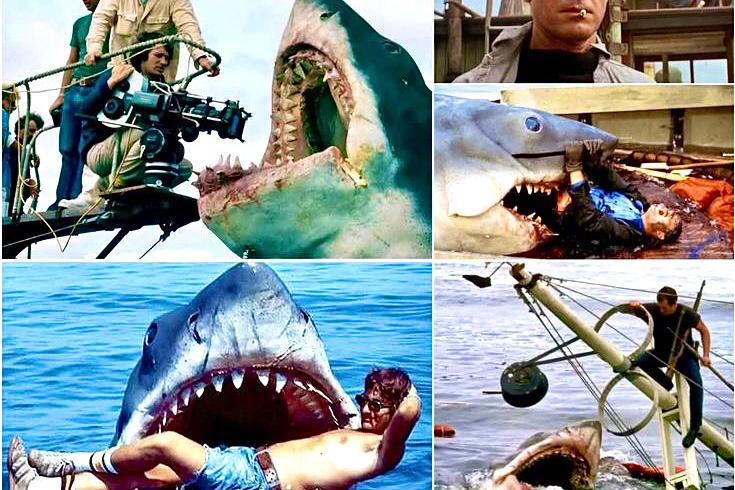 15 Animal Horror Movies That’ll Make You Afraid of Land, Sea, and Sky