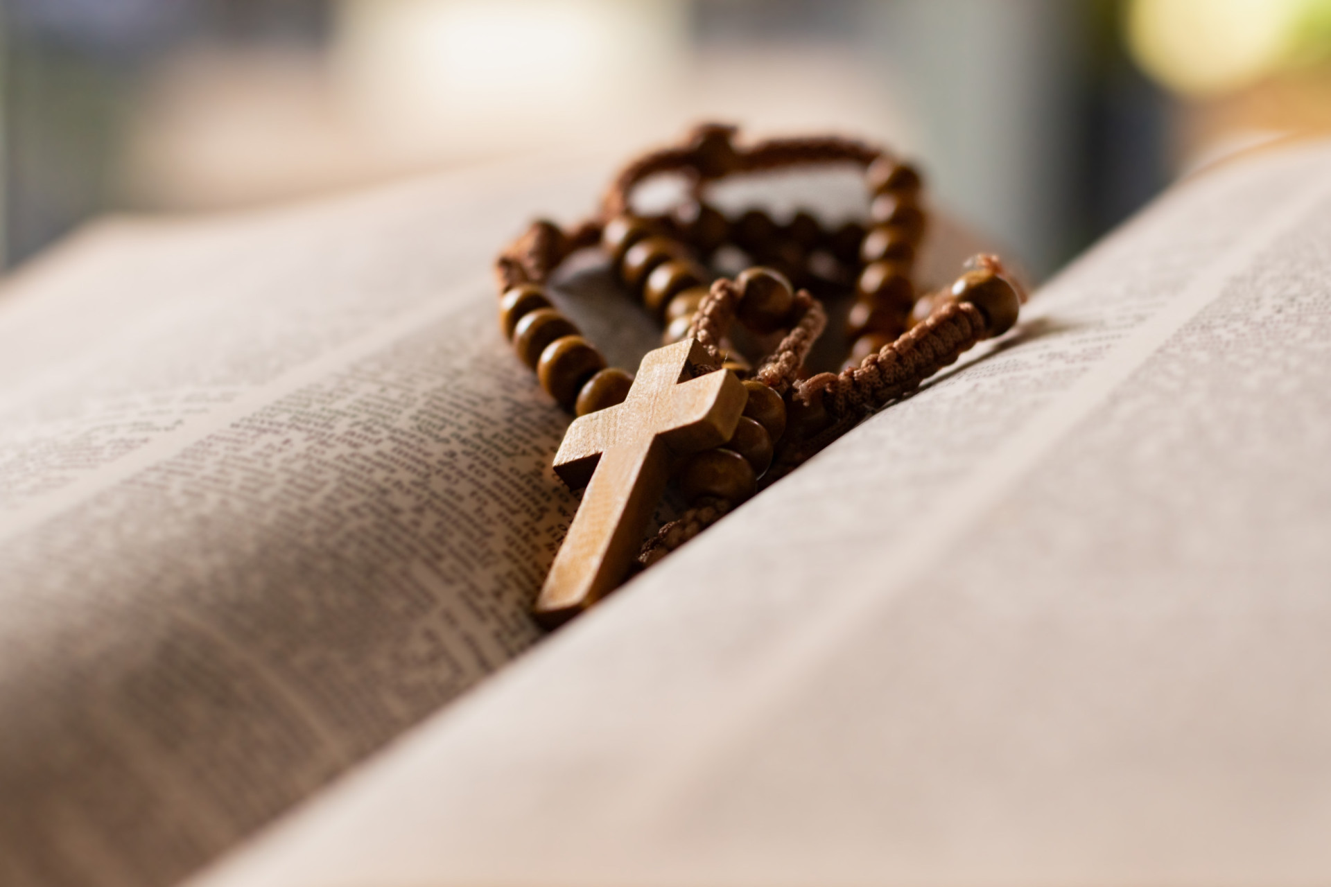 The 14 books left out of the Bible