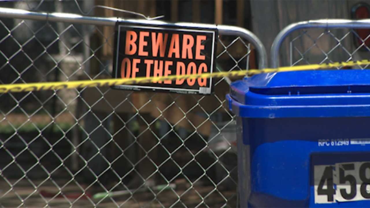 Boy, 8, seriously injured in dog attack in Manchester, witnesses say