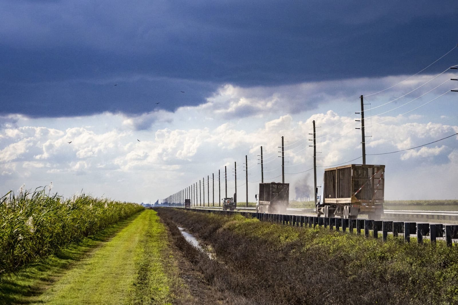 Florida House passes expansive state farm bill