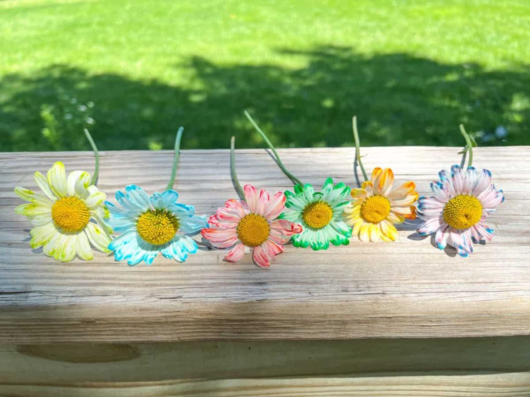 20 Cute and Easy Spring Crafts For Toddlers