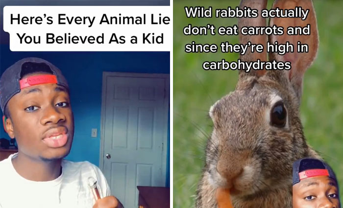 Guy Exposes 16 Animal Lies We Believe As Kids, Provides An Explanation ...