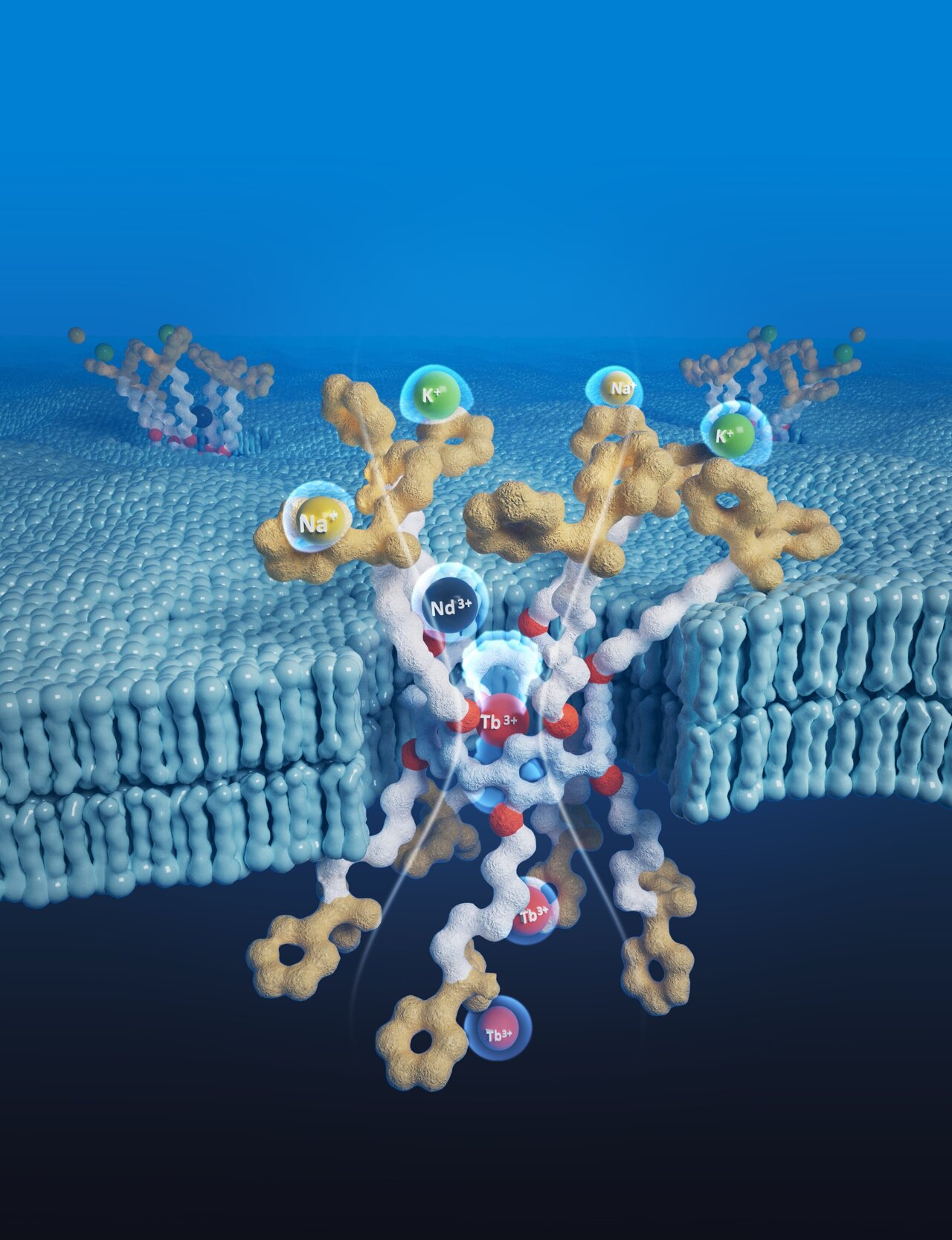 Artificial membrane channels enable more efficient rare earth element ...