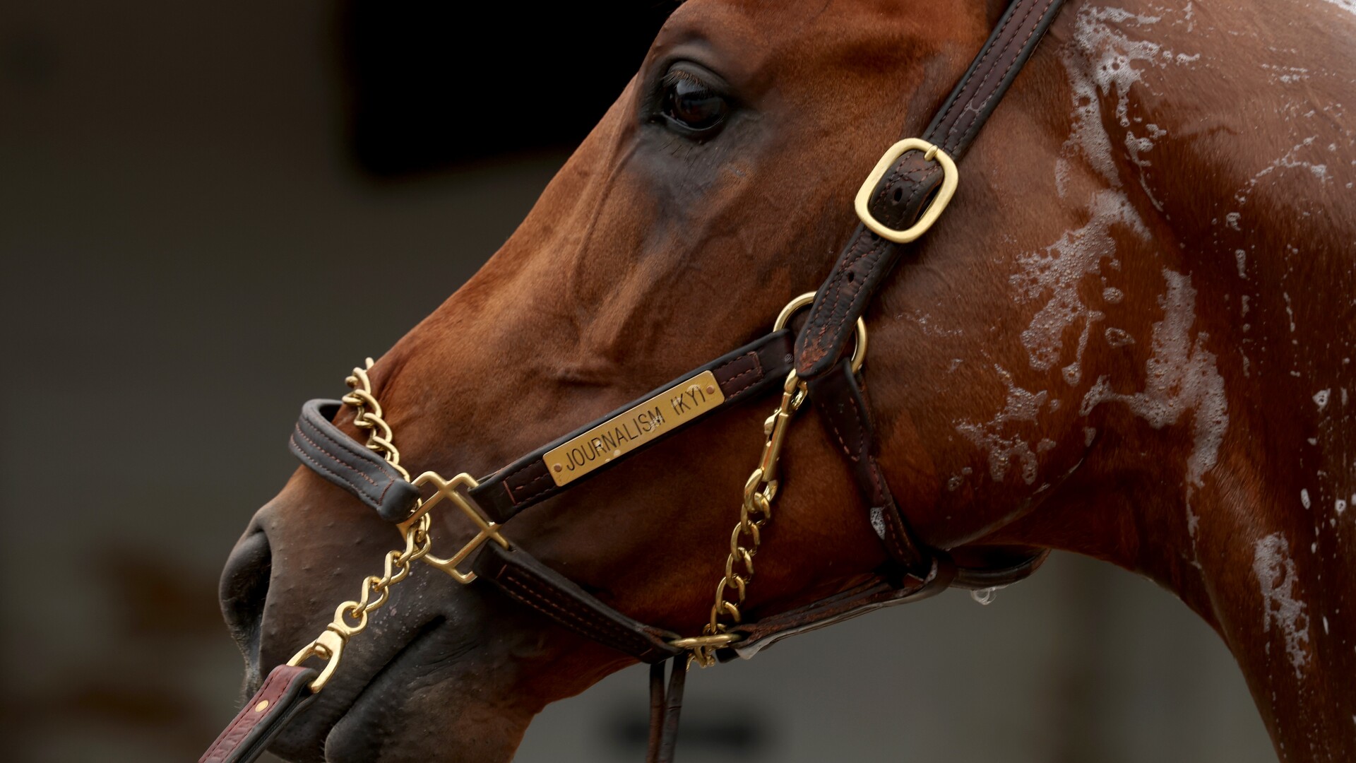 America's Pick: Who will win the 151st Kentucky Derby?