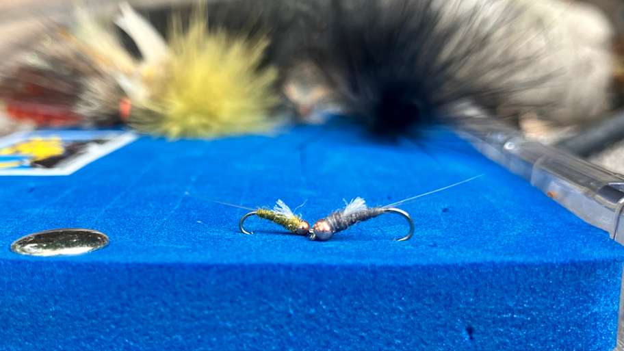 How to Fly Fish: Fishing With Emerger Flies | What Are They?