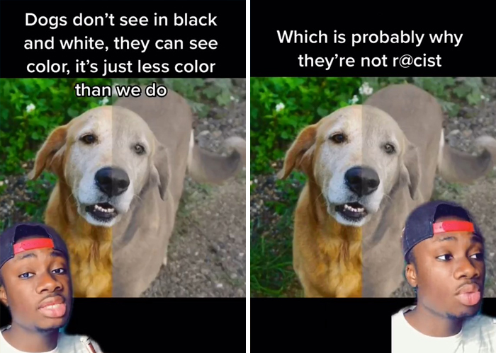 Guy Exposes 16 Animal Lies We Believe As Kids, Provides An Explanation ...