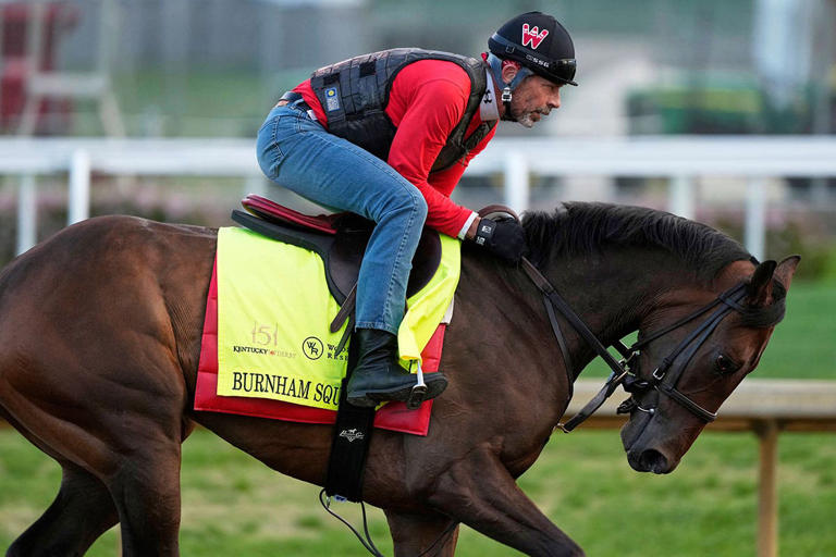 Kentucky Derby 2025: Meet Horses In The 151st Run For The Roses