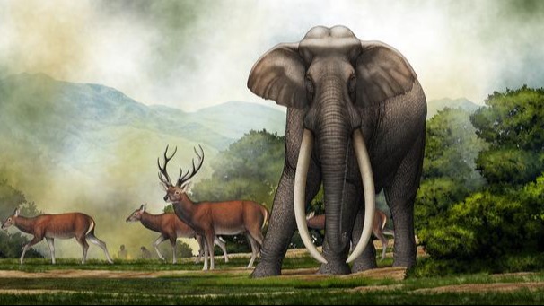This Elephant Lived in Europe for 700,000 Years - Could It Live There ...