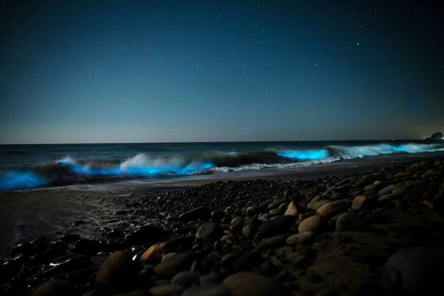 What It Feels Like to Swim in Bioluminescent Water in Panama