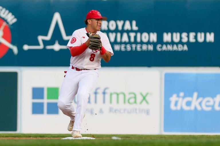 San Francisco Giants pick up contract of Winnipeg Goldeyes infielder ...