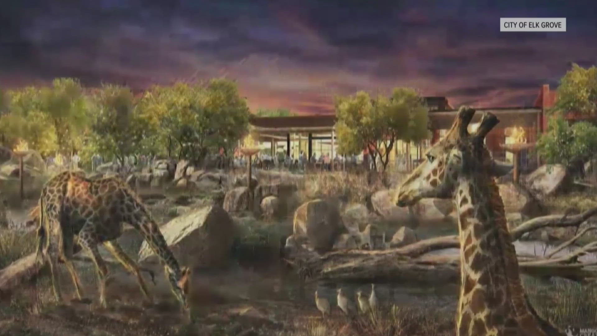 Sacramento Zoo: Elk Grove project canceled due to financial concerns