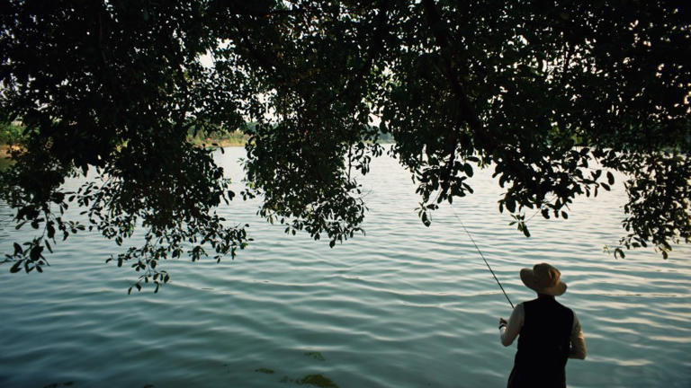 E coli closes swimming beach at Kansas lake