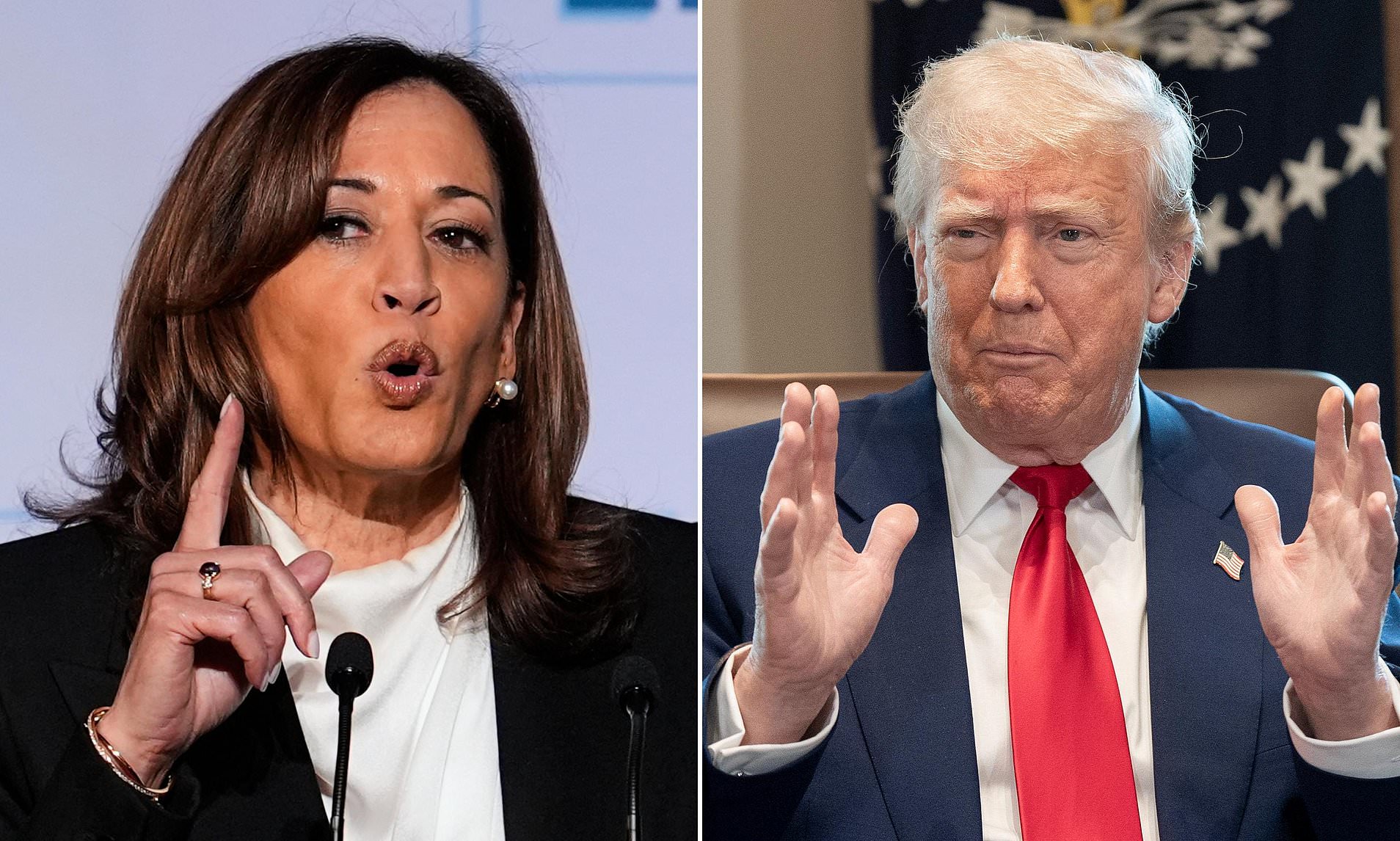 Kamala Harris uses bizarre elephant analogy as she calls out Trump in ...