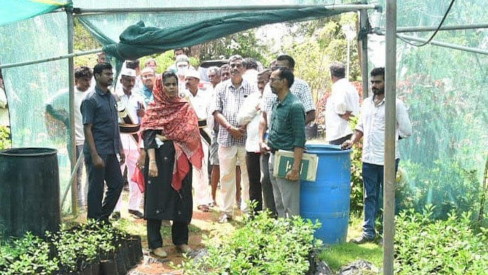 Prakasam collector lays emphasis on promotion of nature farming