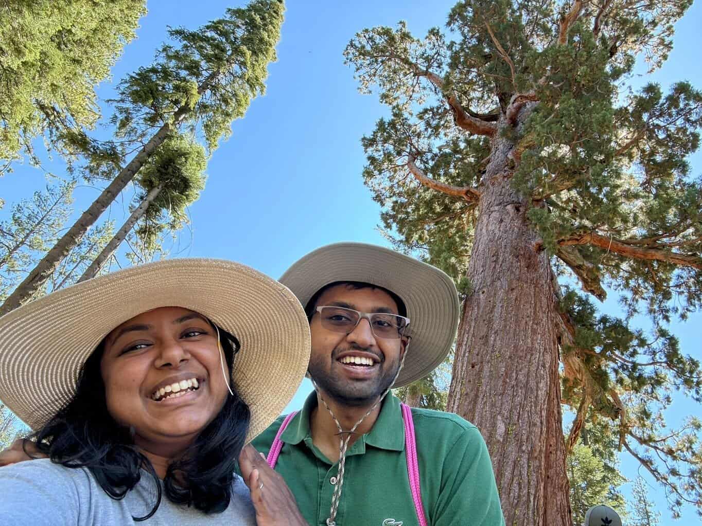 The World’s Largest Tree Is Just the Beginning in This Corner of the US
