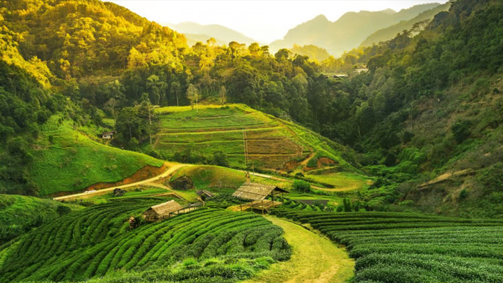 ASSAM ADVENTURES: QUIRKY EXPERIENCES FOR UNFORGETTABLE MEMORIES