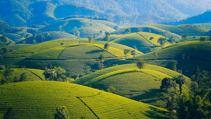 KODAIKANAL, TAMIL NADU – THE PRINCESS OF HILL STATIONS