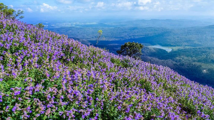 KODAIKANAL, TAMIL NADU – THE PRINCESS OF HILL STATIONS