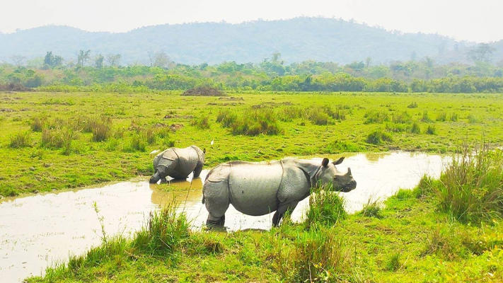 ASSAM ADVENTURES: QUIRKY EXPERIENCES FOR UNFORGETTABLE MEMORIES