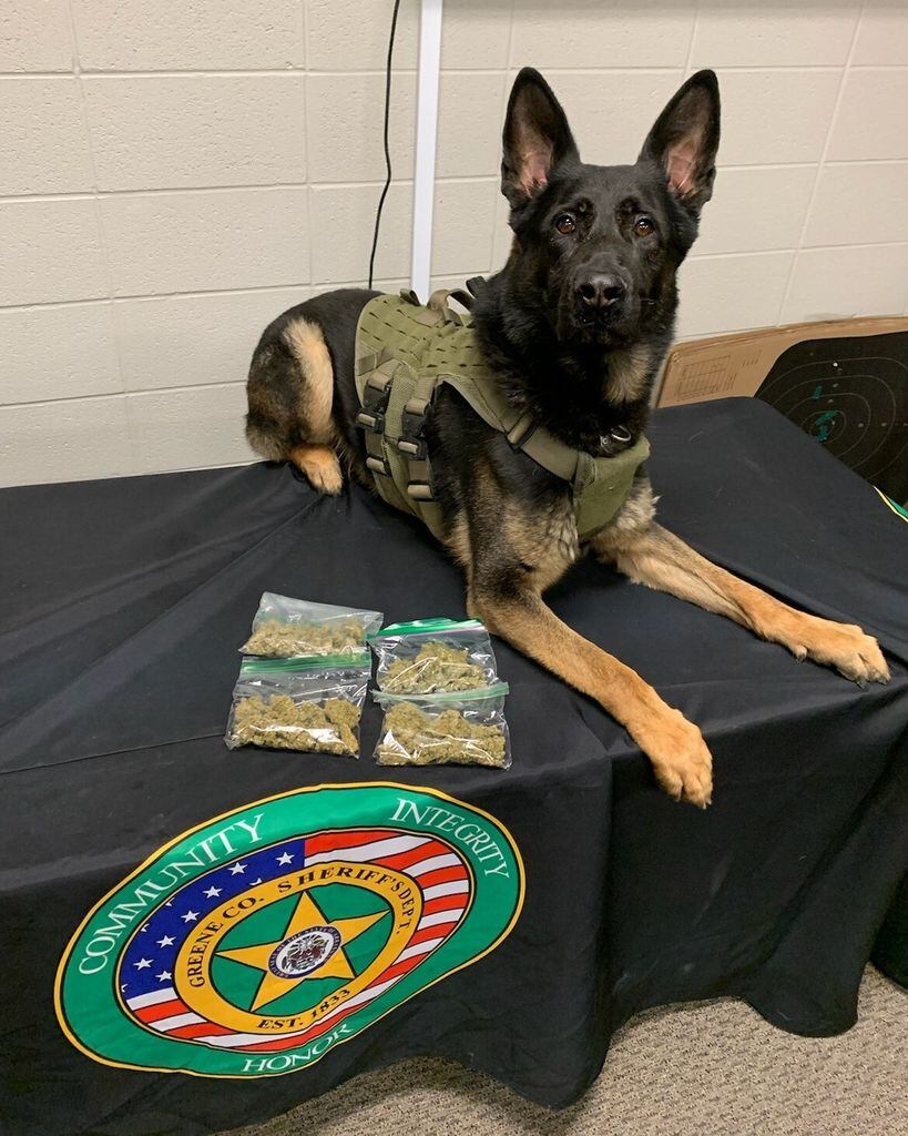 Memorial service set for fallen K9 officer