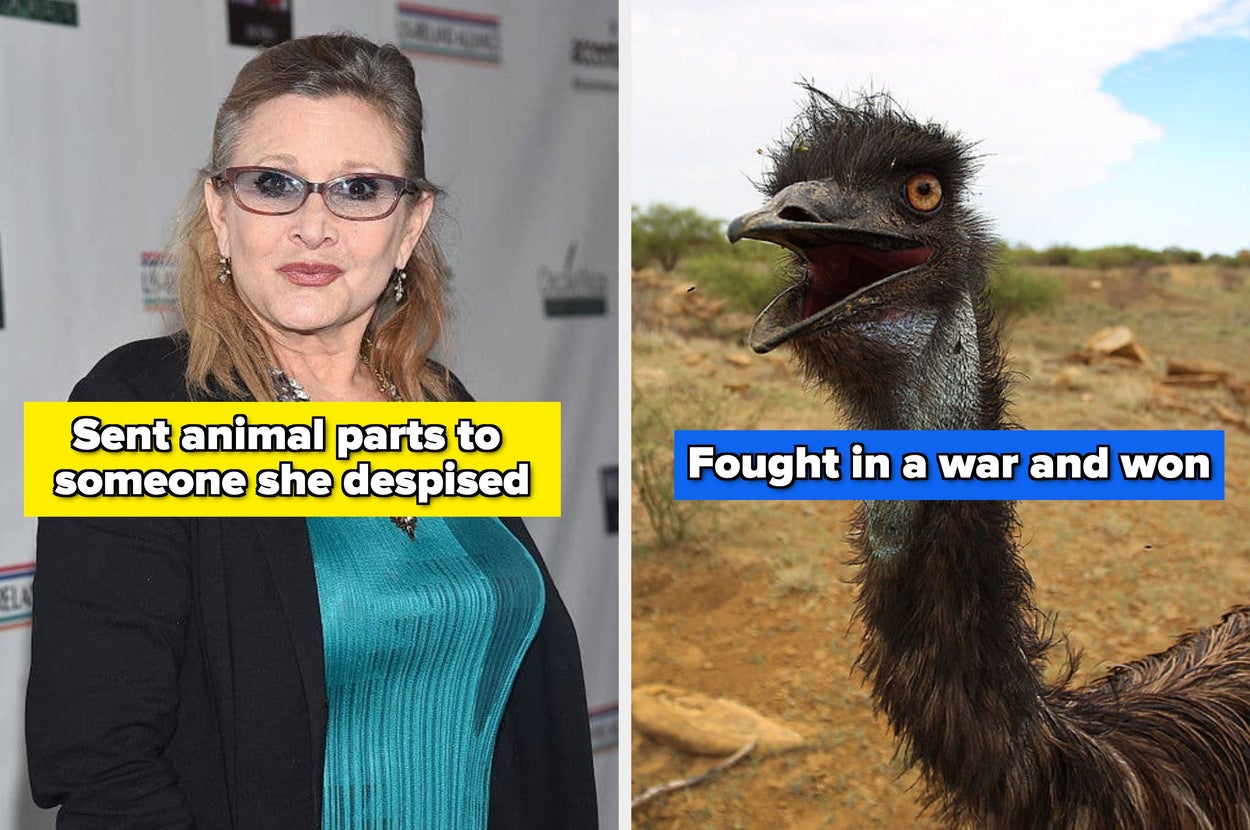 13 Absolutely Random Yet Suuuuuper Interesting Facts That Sound ...