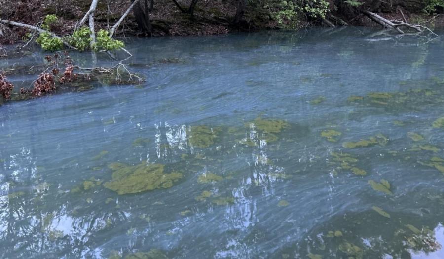 Harmful algae bloom detected in Lake Hartwell in Anderson County: Officials